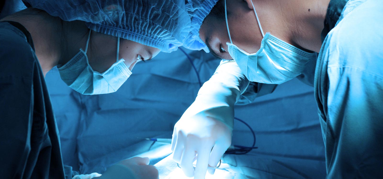 We've updated our PgC Small Animal Medicine programme - Improve ...